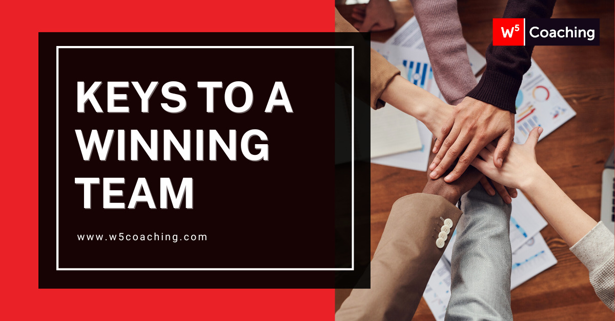 6 Pillars of Team Success - W5 Business Coaching